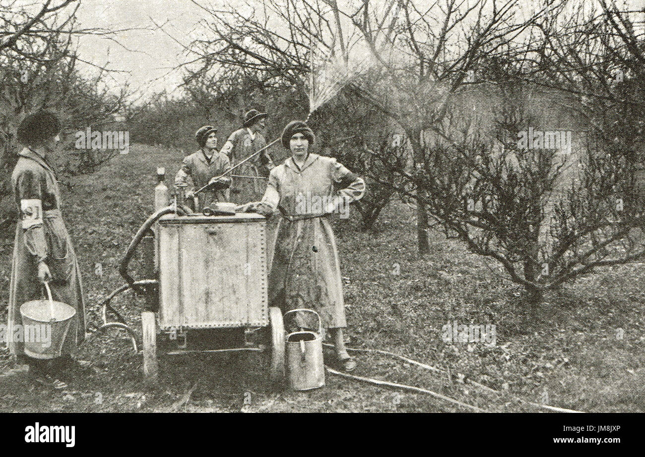 Land army girls hi-res stock photography and images - Alamy