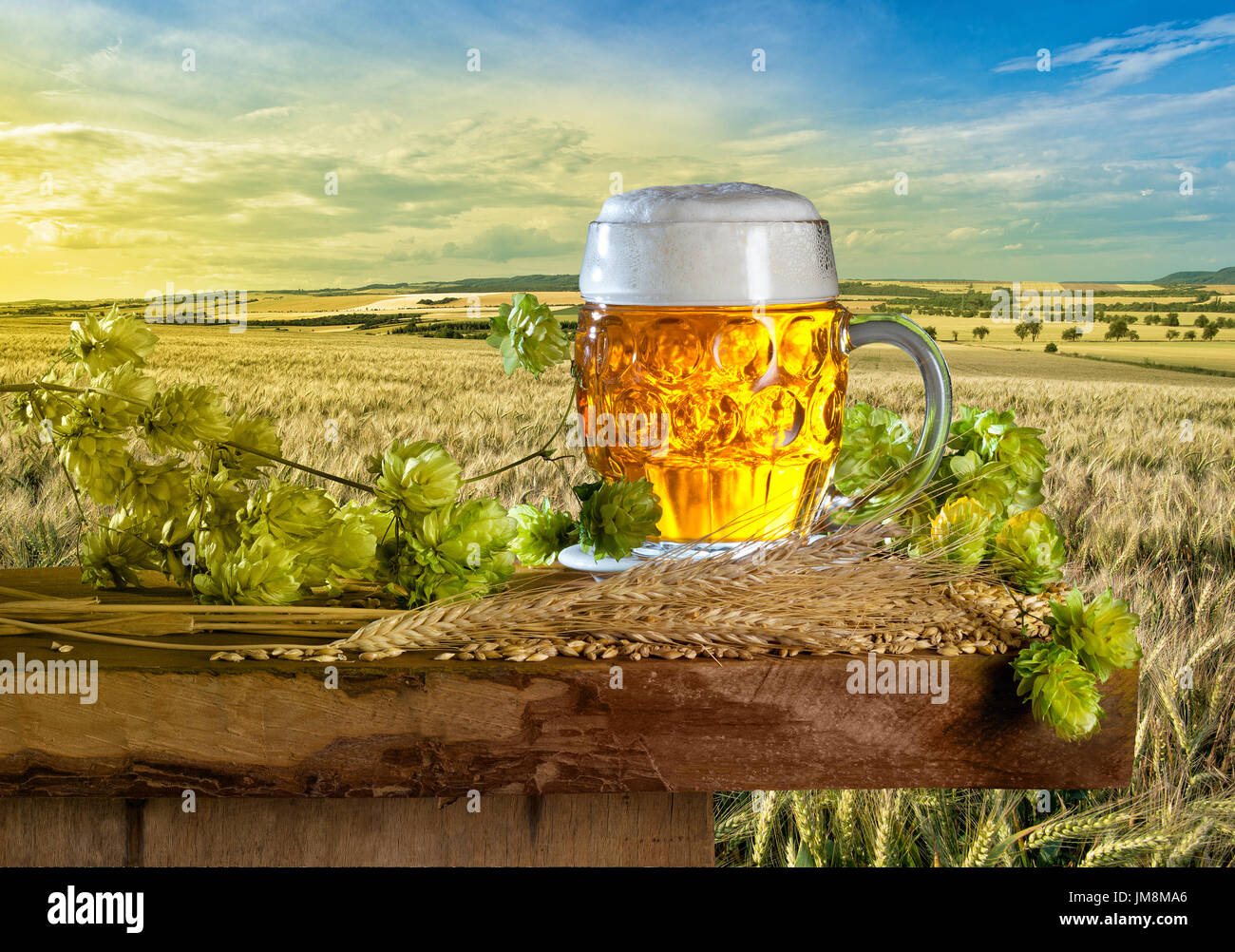 Beer glass green hops hi-res stock photography and images - Alamy