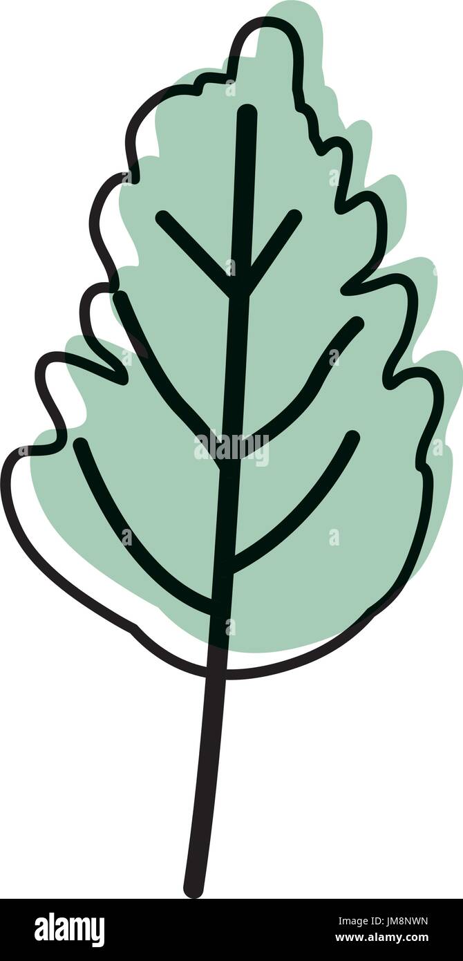 Wavy leaf Stock Vector Images - Alamy