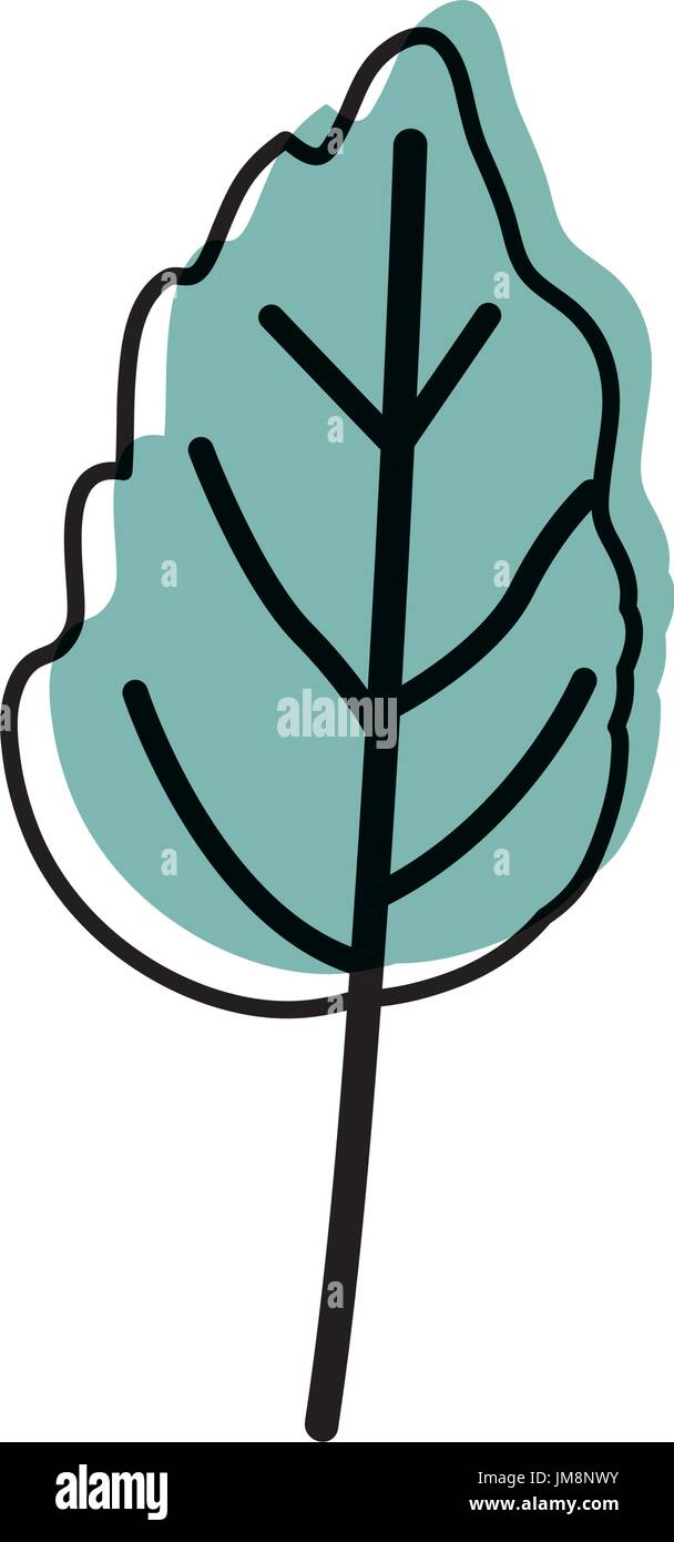 watercolor silhouette of small wavy leaf plant Stock Vector Image & Art ...