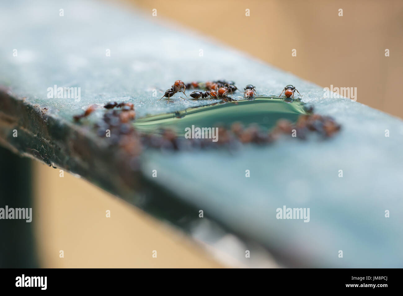 Adult workers hi-res stock photography and images - Alamy