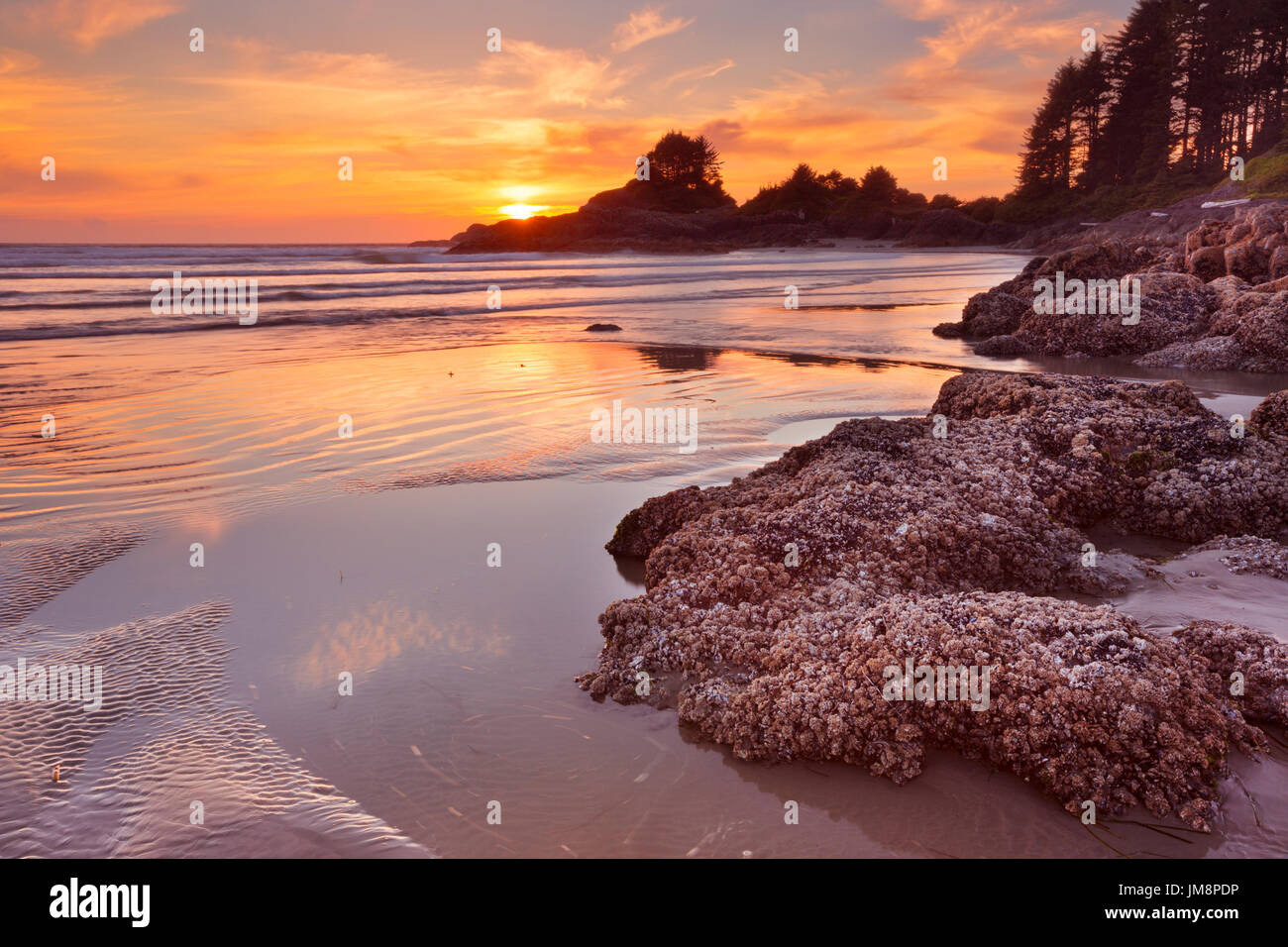 The beach of Cox Bay on Vancouver Island, Canada. Photographed at ...