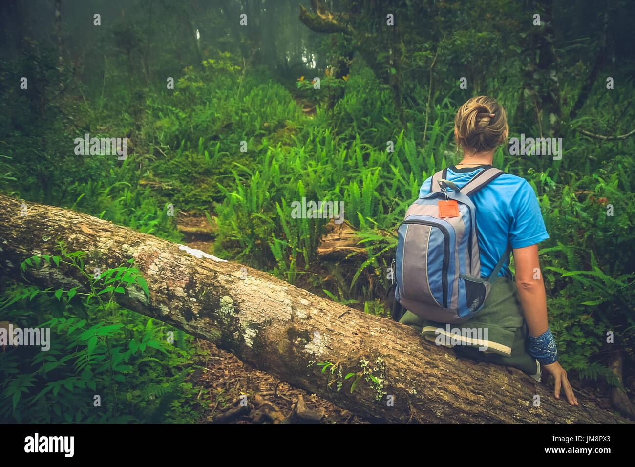 Girl resting on a fallen tree log the jungle path to the summit of ...