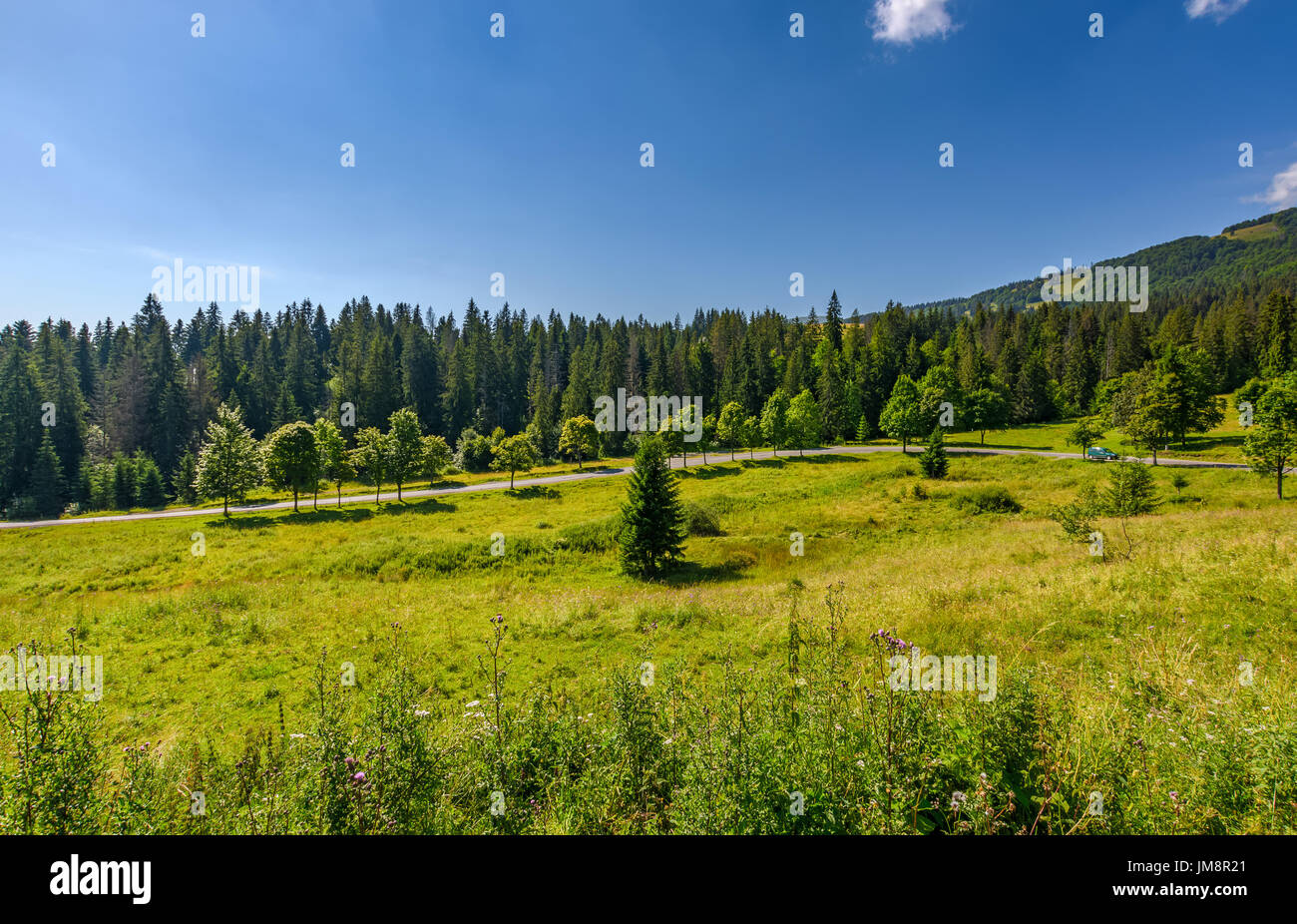 Simple road landscape hi-res stock photography and images - Alamy