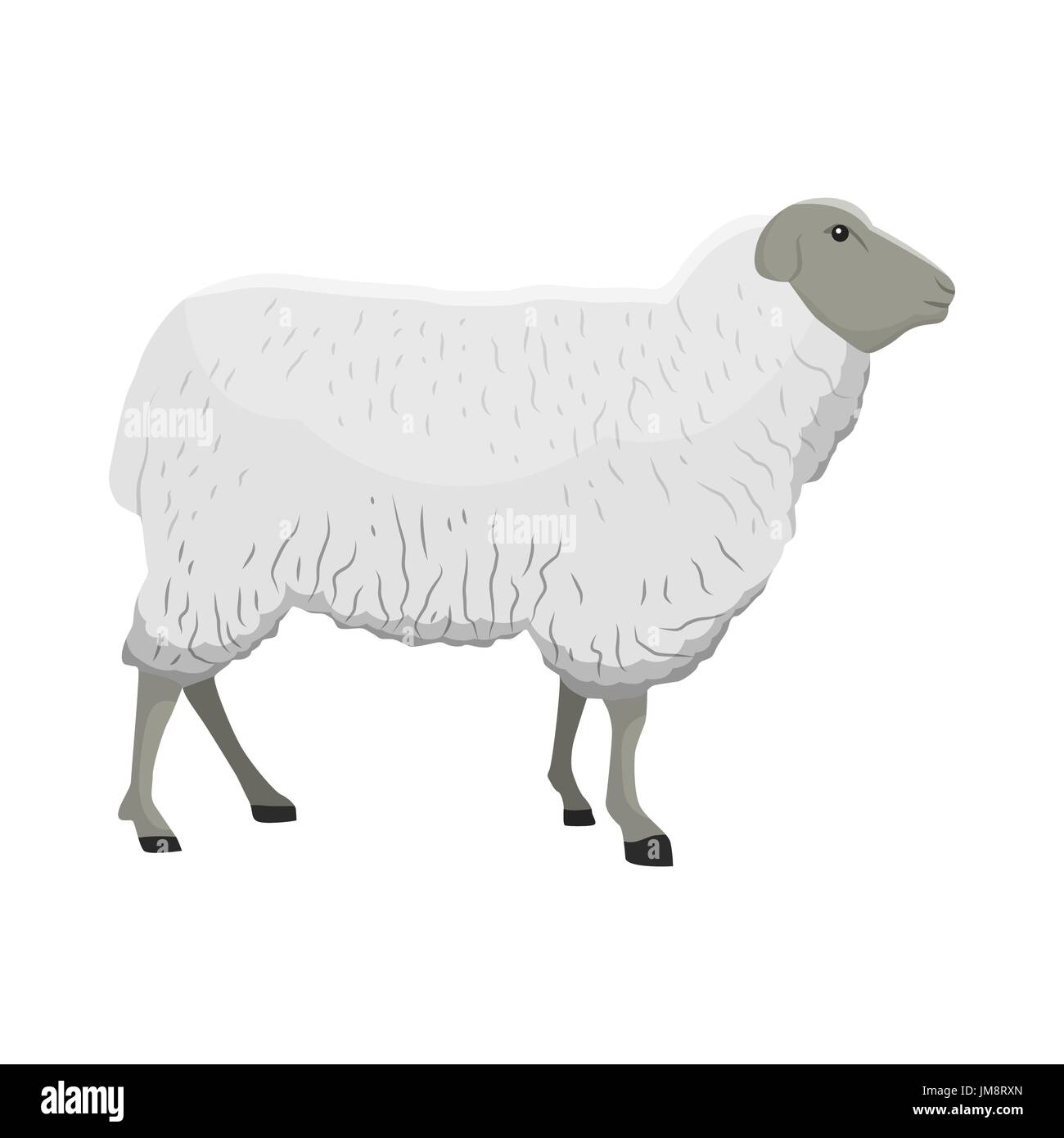 Vector illustration of a sheep Stock Vector Image & Art - Alamy
