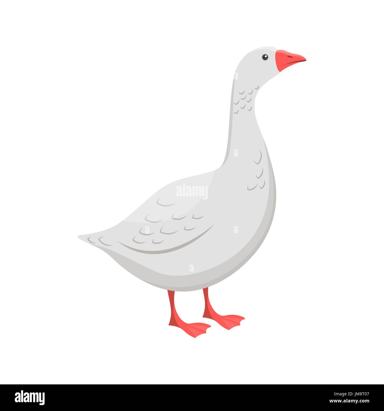 Vector illustration of a goose Stock Vector Image & Art - Alamy
