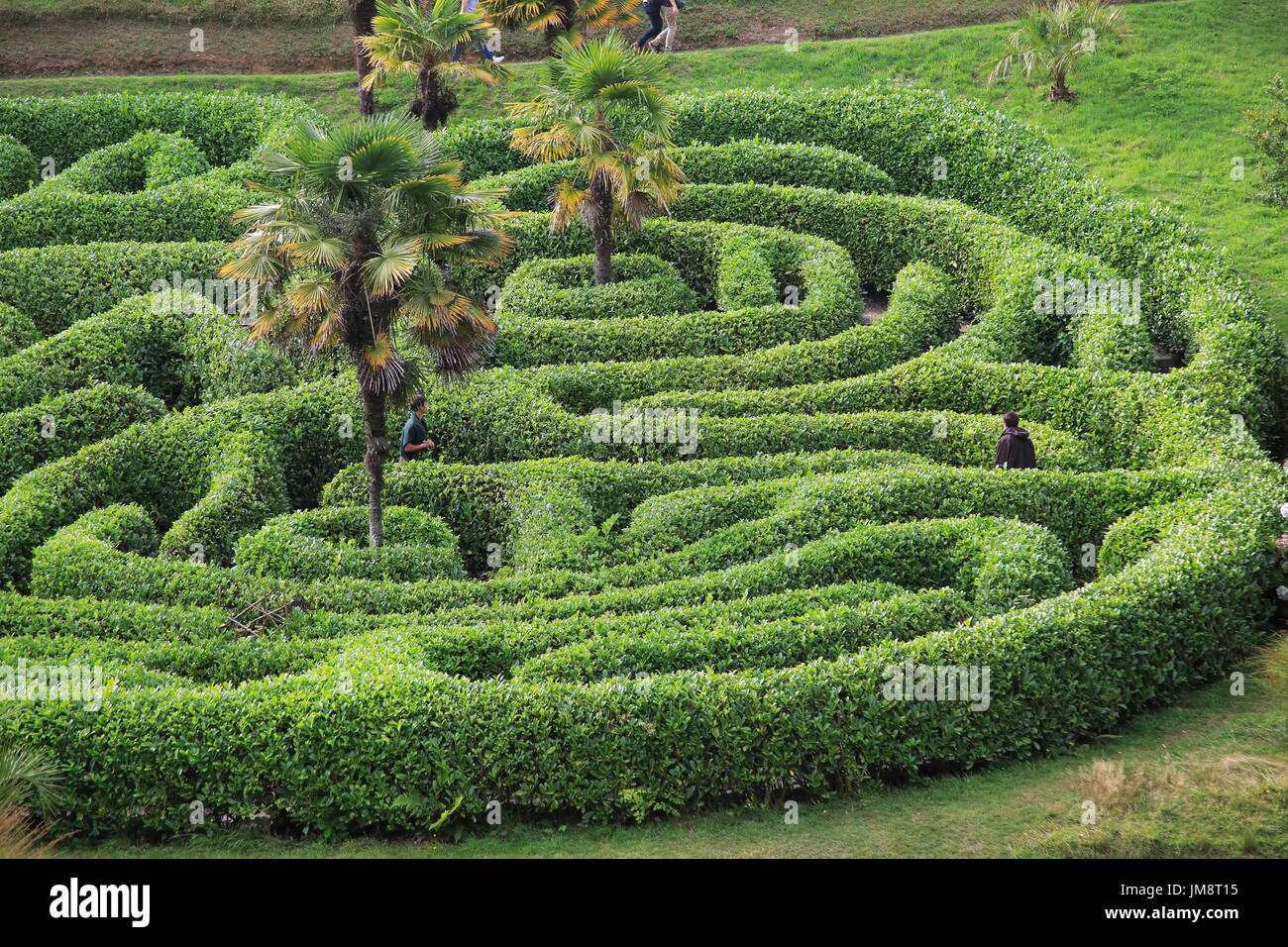 Glendurgan maze hi-res stock photography and images - Alamy