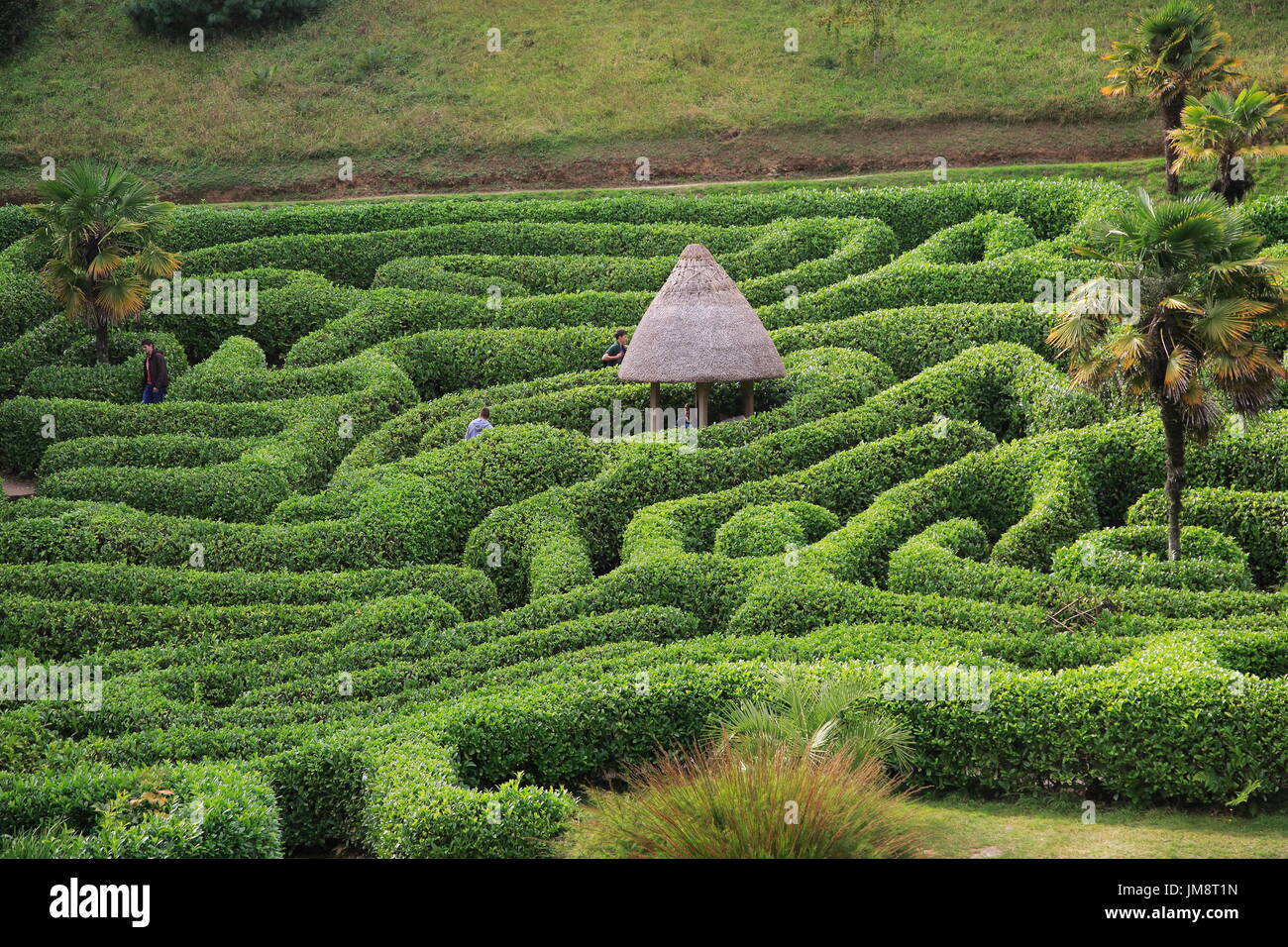 Maze glendurgan gardens hi-res stock photography and images - Alamy