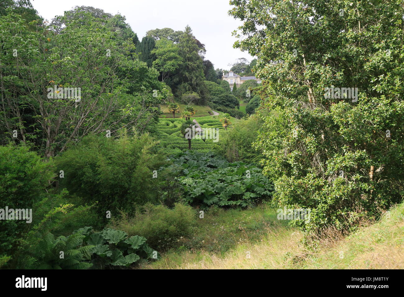 Glendurgan Garden, Cornwall, England, UK Stock Photo - Alamy
