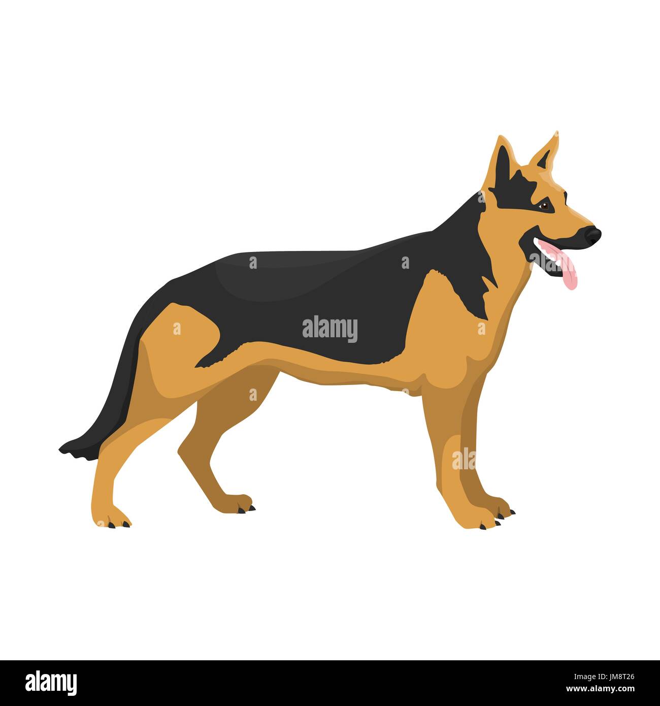Vector illustration of German shepherd Stock Vector Image & Art - Alamy
