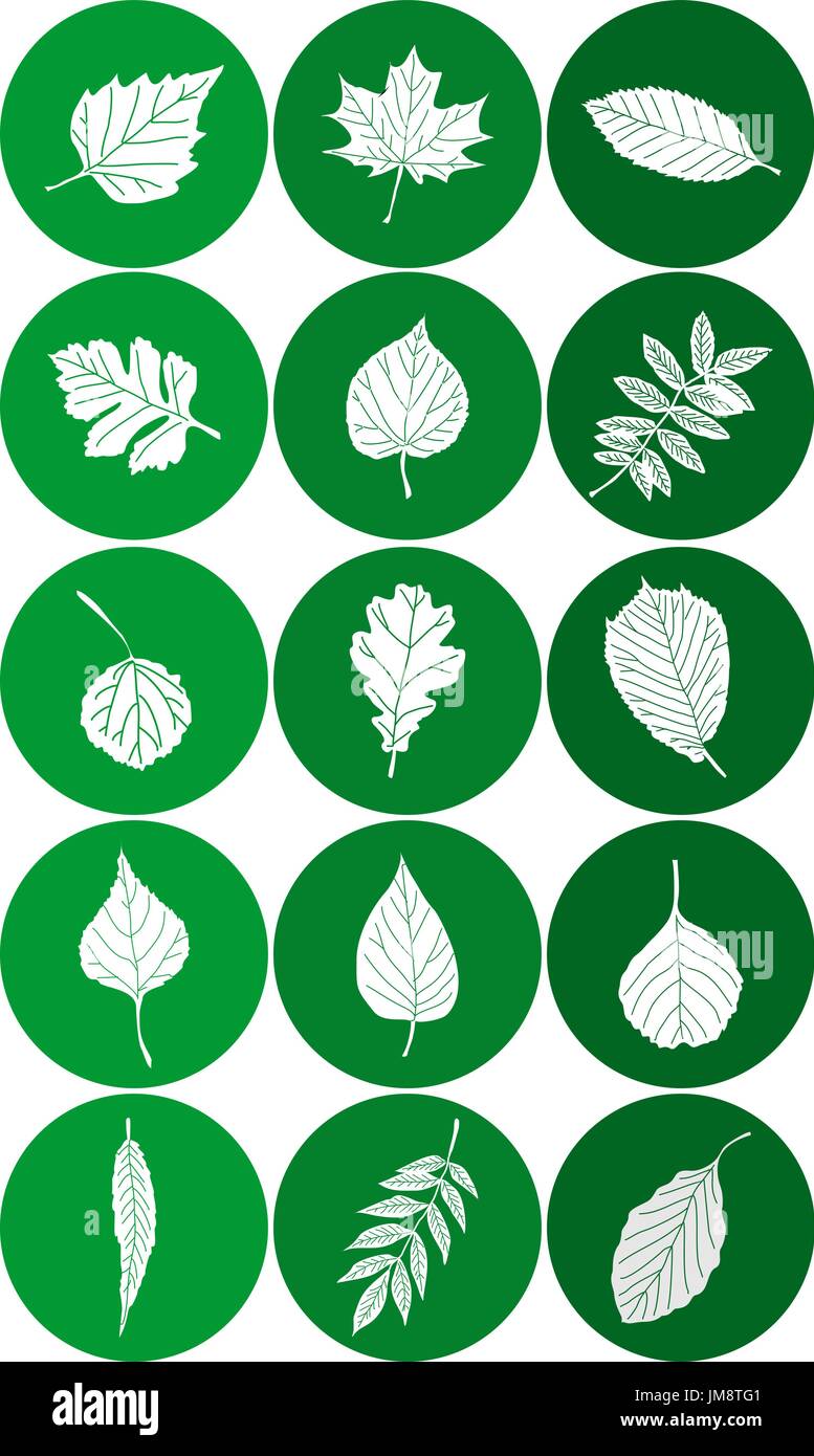 Set of Abstract Leaf Icons. Vector illustration Stock Vector Image ...