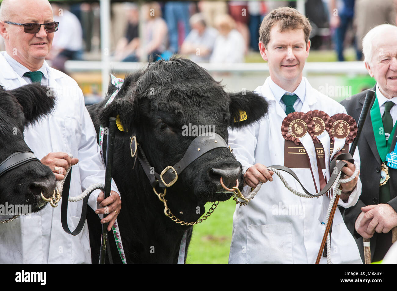 Royal Welsh Agricultural Show,held,annually,at, Royal Welsh Showground ...