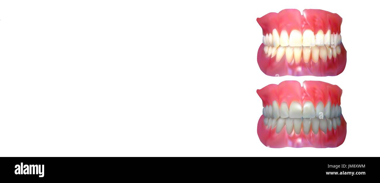 Jaw. Tooth jaw. Vector illustration. 10 eps Stock Vector Image & Art ...