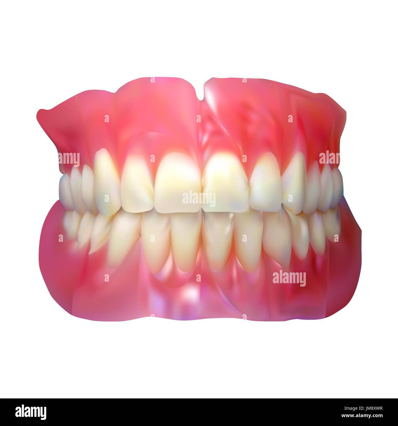 Jaw vector hi-res stock photography and images - Alamy