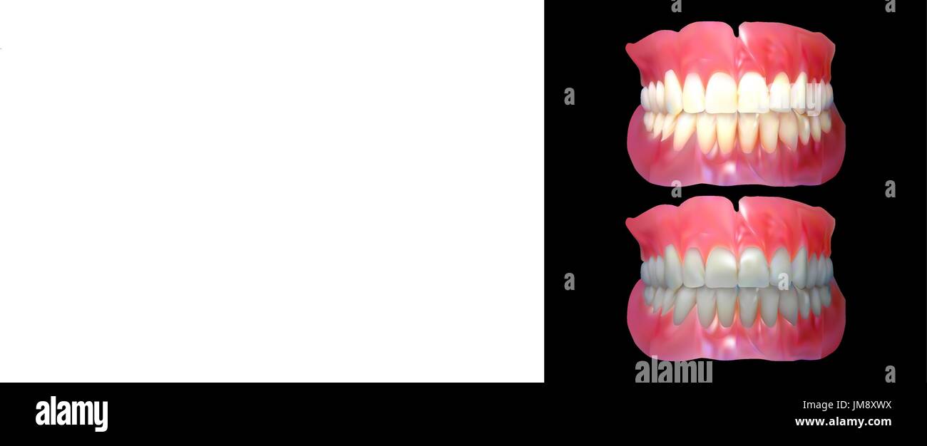 Jaw. Tooth jaw. Vector illustration. 10 eps Stock Vector Image & Art ...