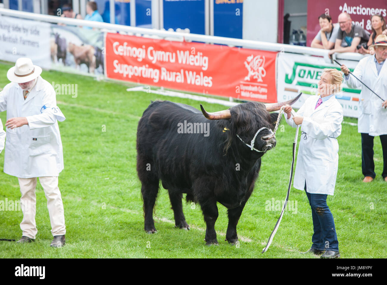 Royal Welsh Agricultural Show,held,annually,at, Royal Welsh Showground ...