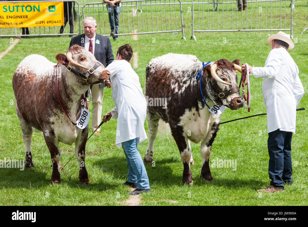 Royal Welsh Agricultural Show,held,annually,at, Royal Welsh Showground ...