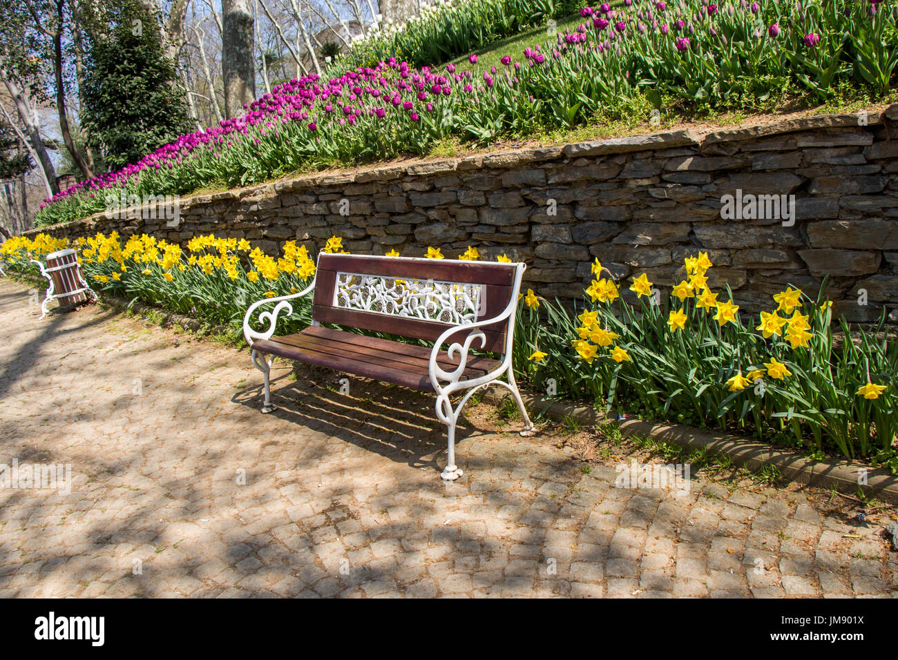 Wooden park bench at a park Stock Photo - Alamy