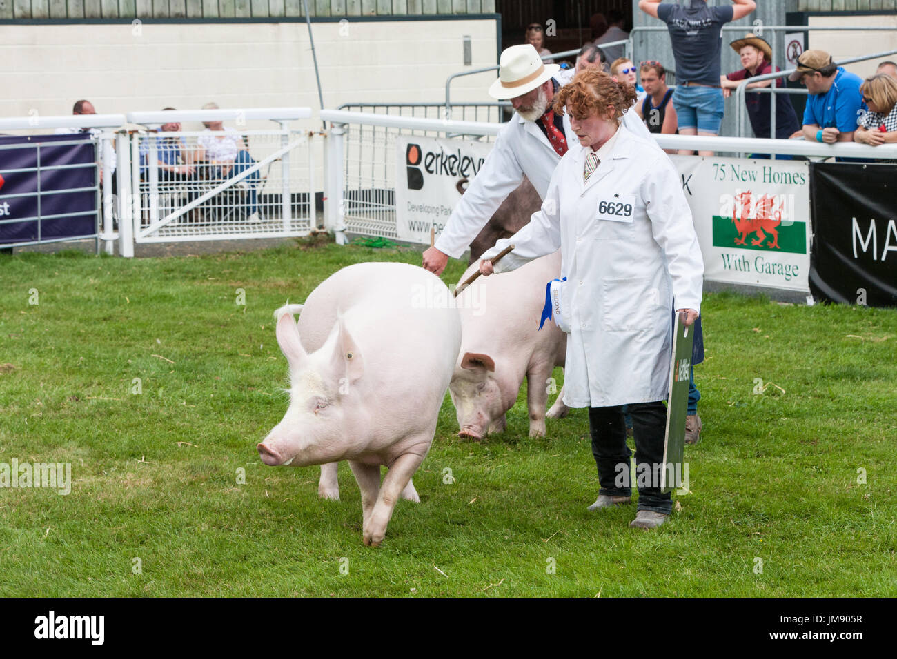 Royal Welsh Agricultural Show,held,annually,at, Royal Welsh Showground ...