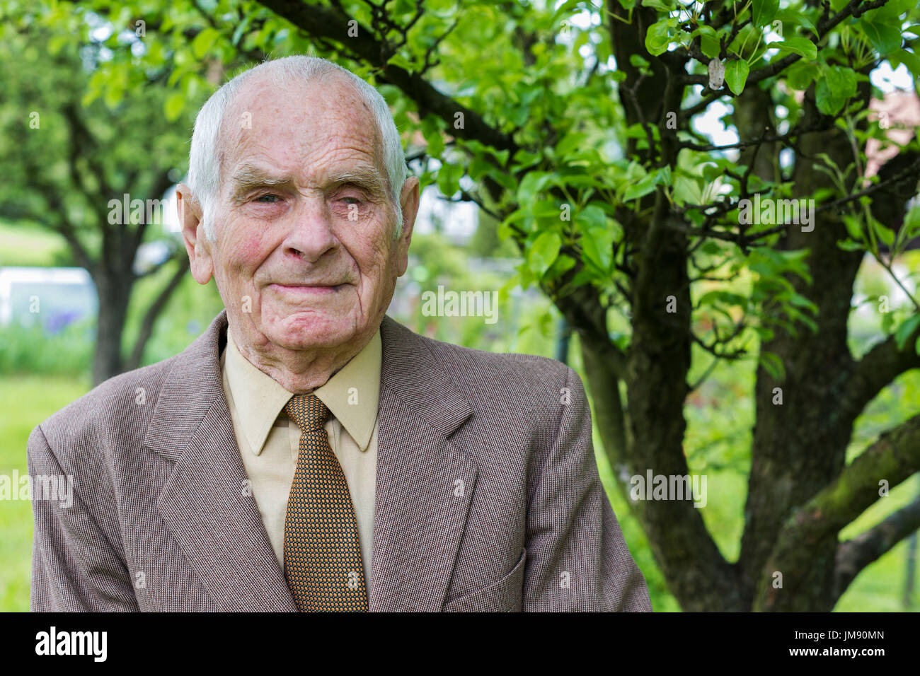 Handsome 80 plus year old senior man posing for a portrait in his ... Handsome 80 plus year old senior man posing for a portrait in his ...