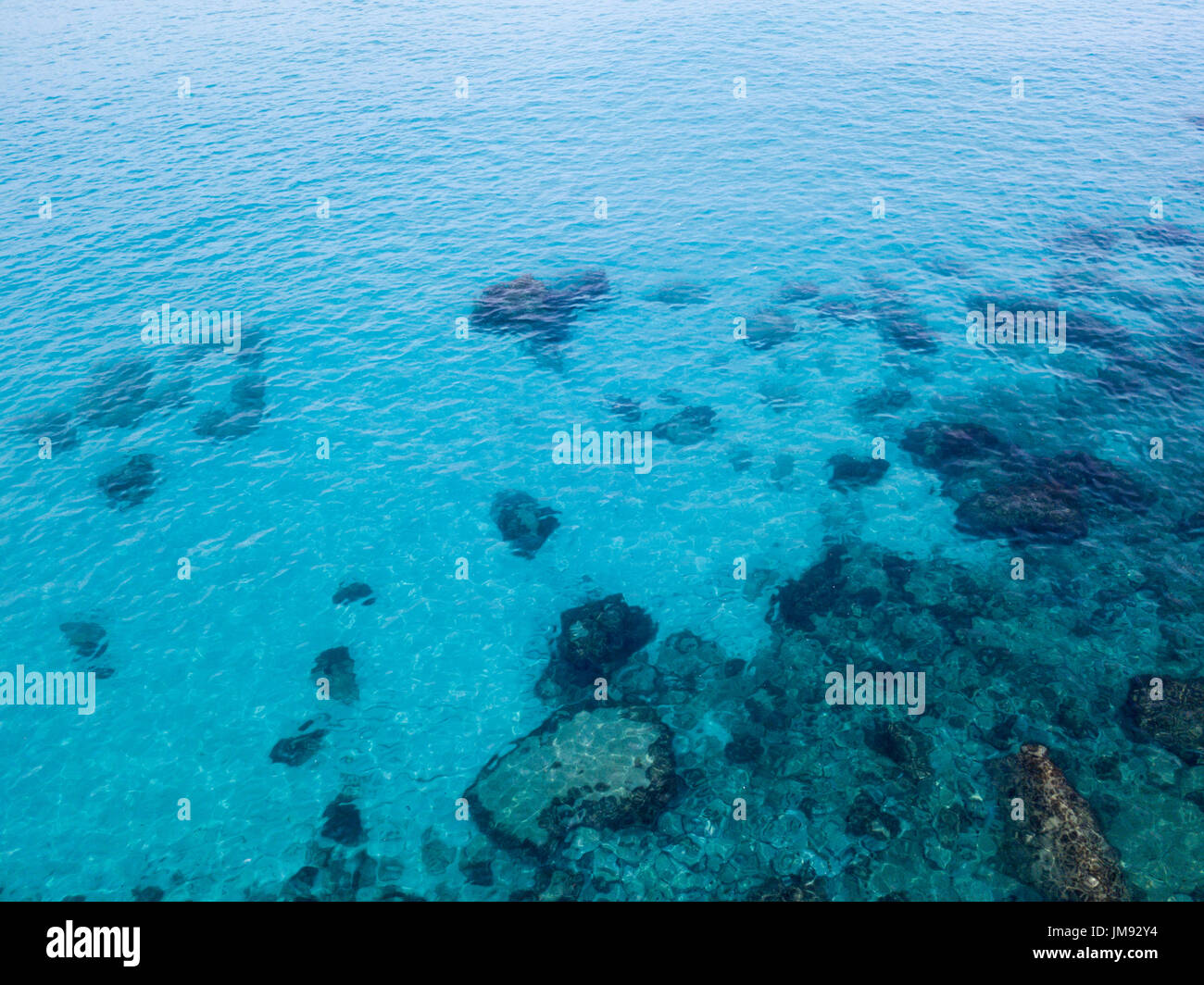 Coral seen from below hi-res stock photography and images - Alamy