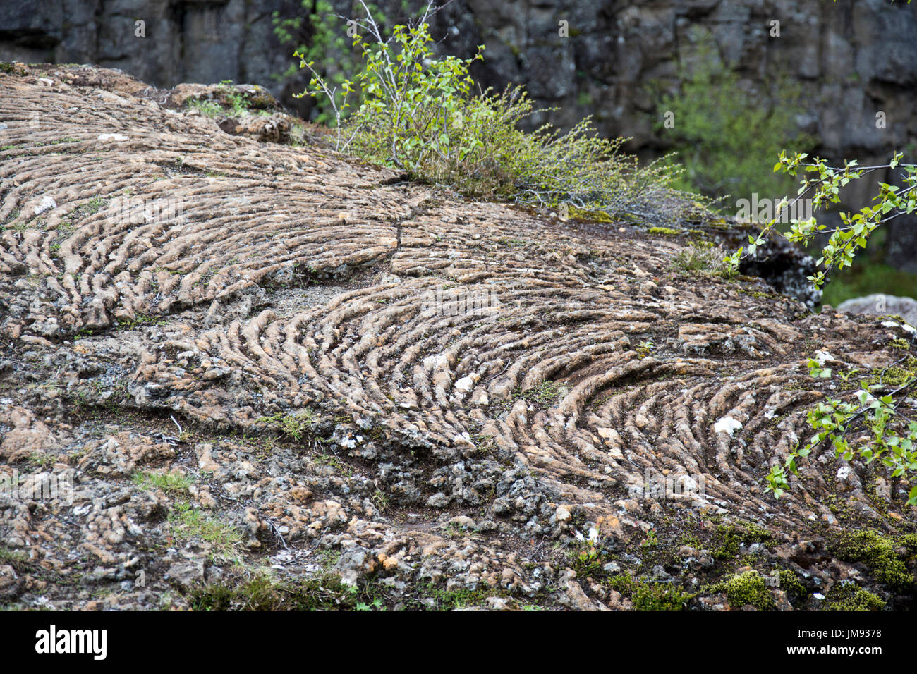Solidified magma flow, Iceland Stock Photo - Alamy