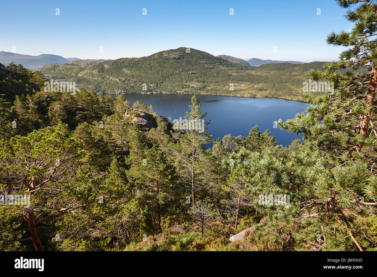 Norwegian summer landscape with forest and lake. Preikestolen route ...