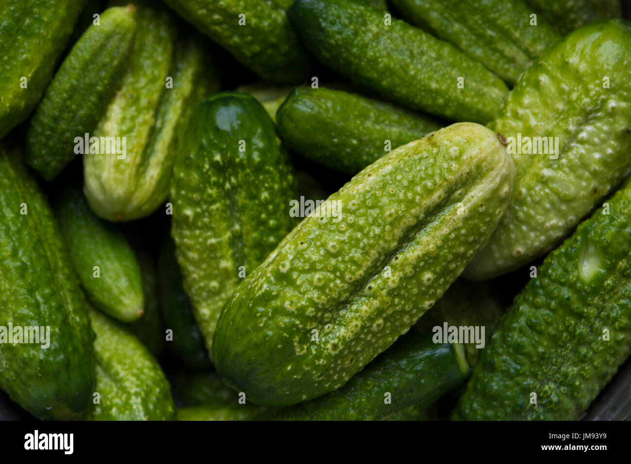 Large harvest organic grown hi-res stock photography and images - Alamy