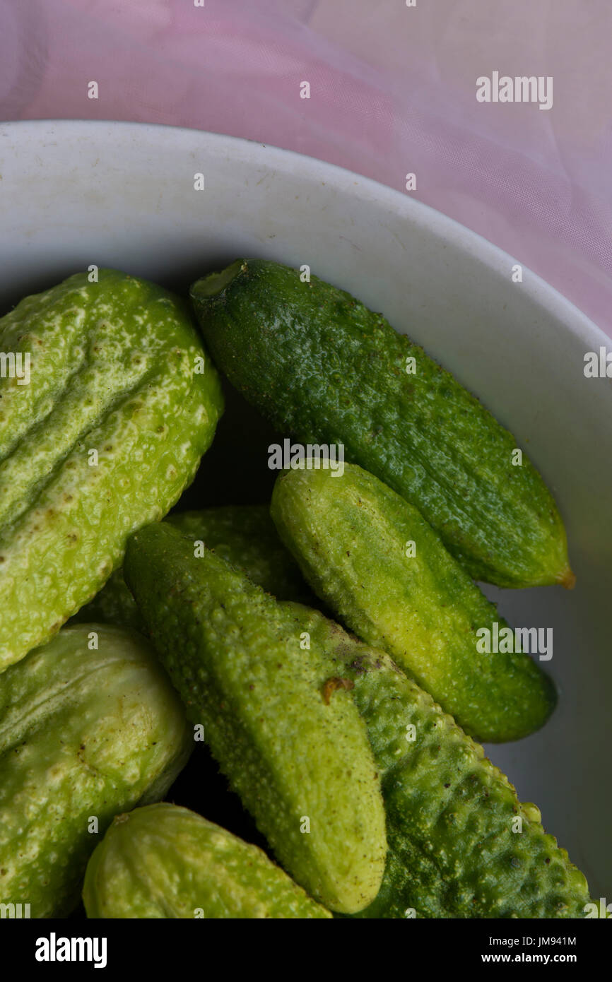 Close up of a group of fresh, organic, gherkins Stock Photo - Alamy