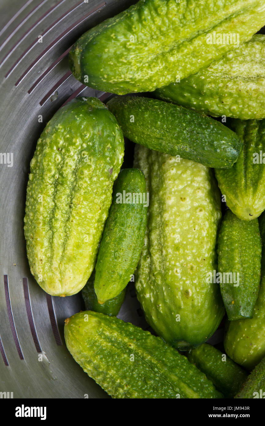 Close up of gherkins Stock Photo - Alamy