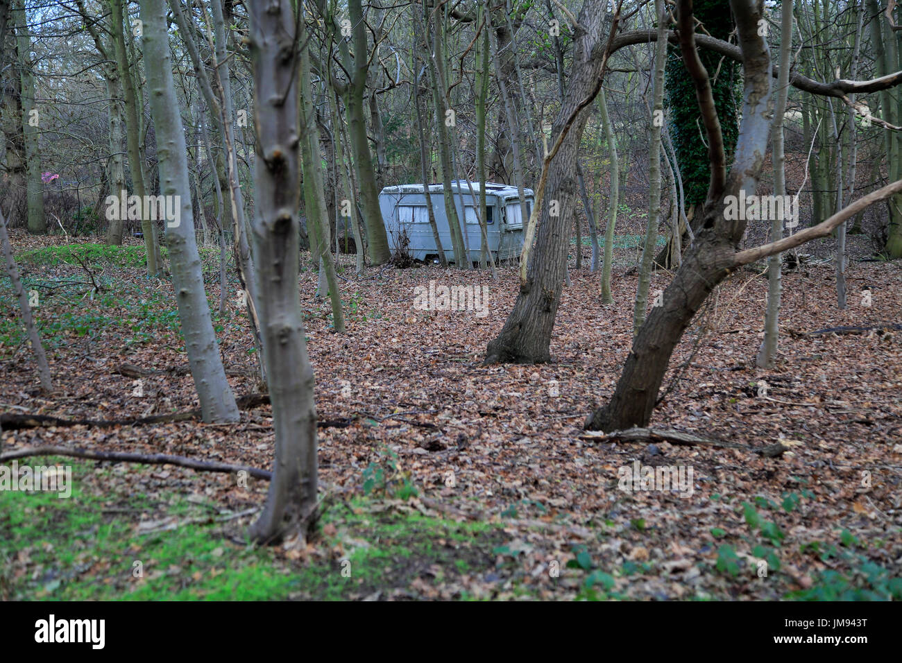 Caravan in woods hi-res stock photography and images - Alamy