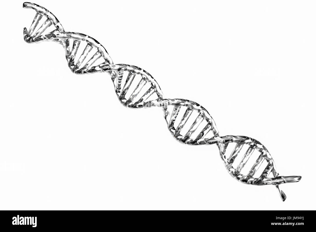 Human cell structure Black and White Stock Photos & Images - Alamy