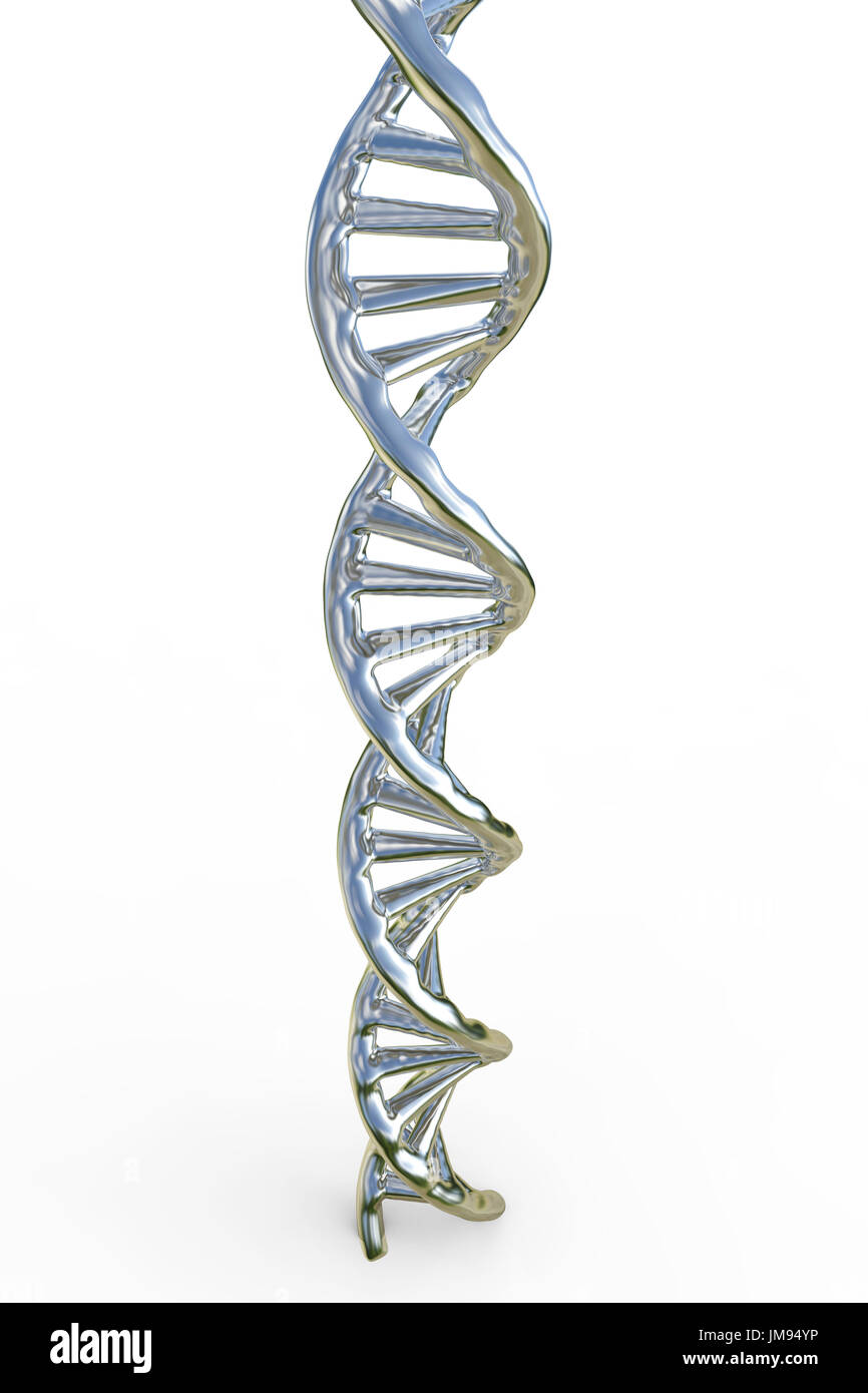 3d rendering silver dna structure on white background Stock Photo - Alamy