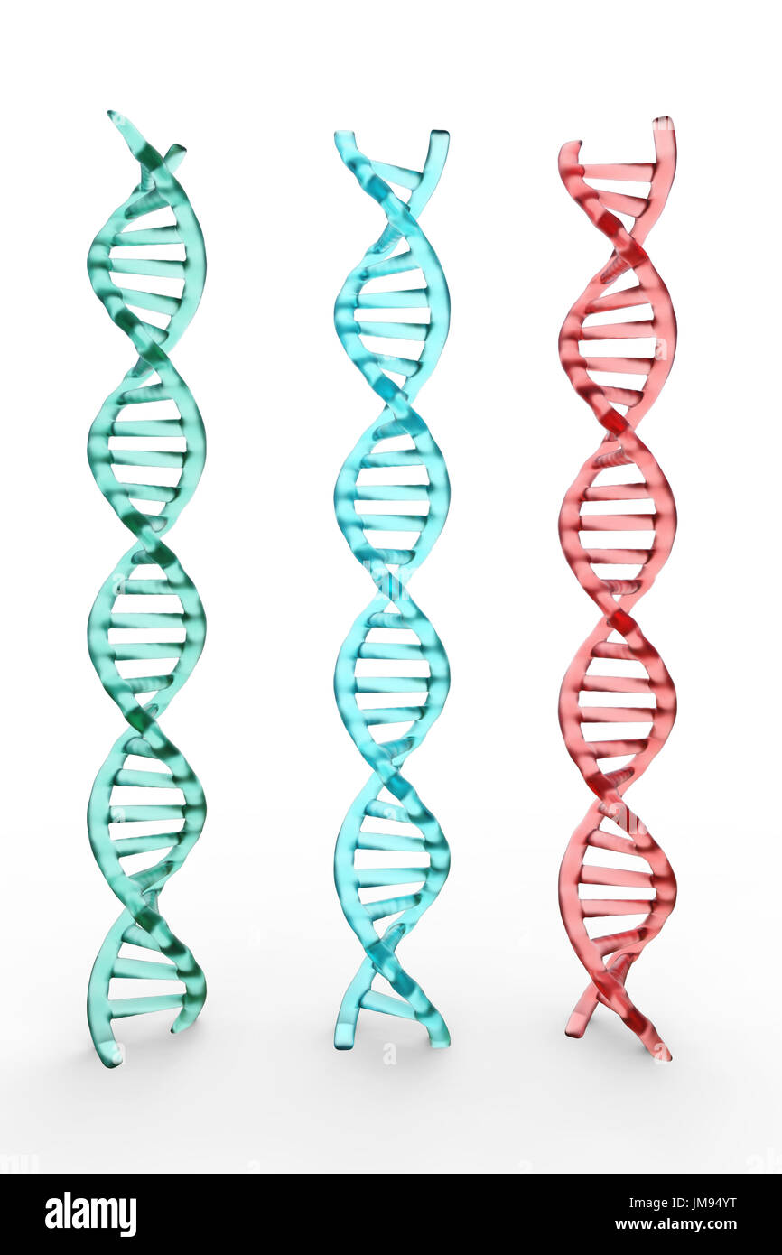 3d rendering three dna structures on white background Stock Photo - Alamy