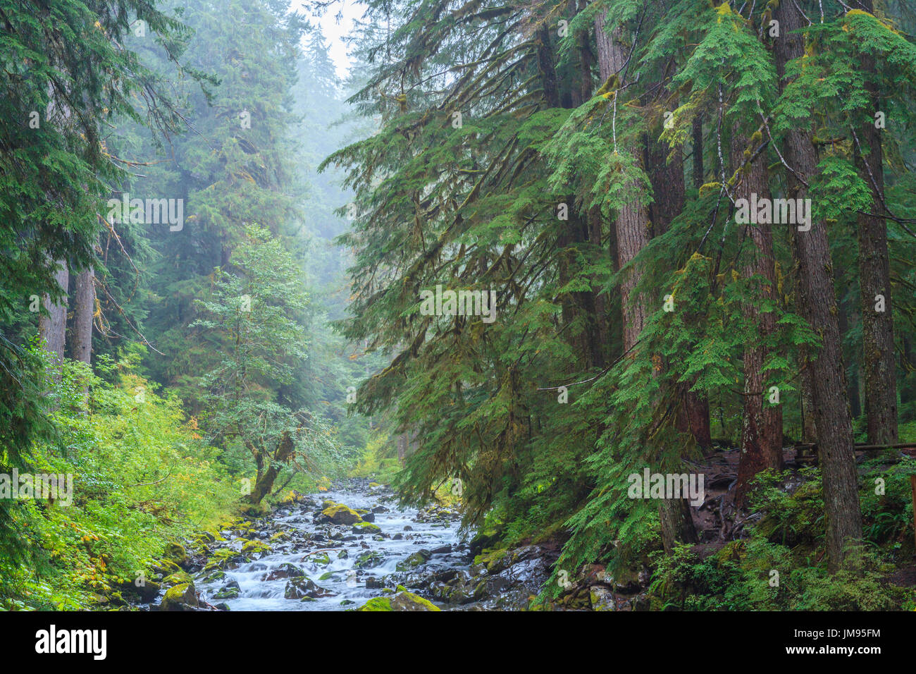 Sol duc falls bridge hi-res stock photography and images - Alamy