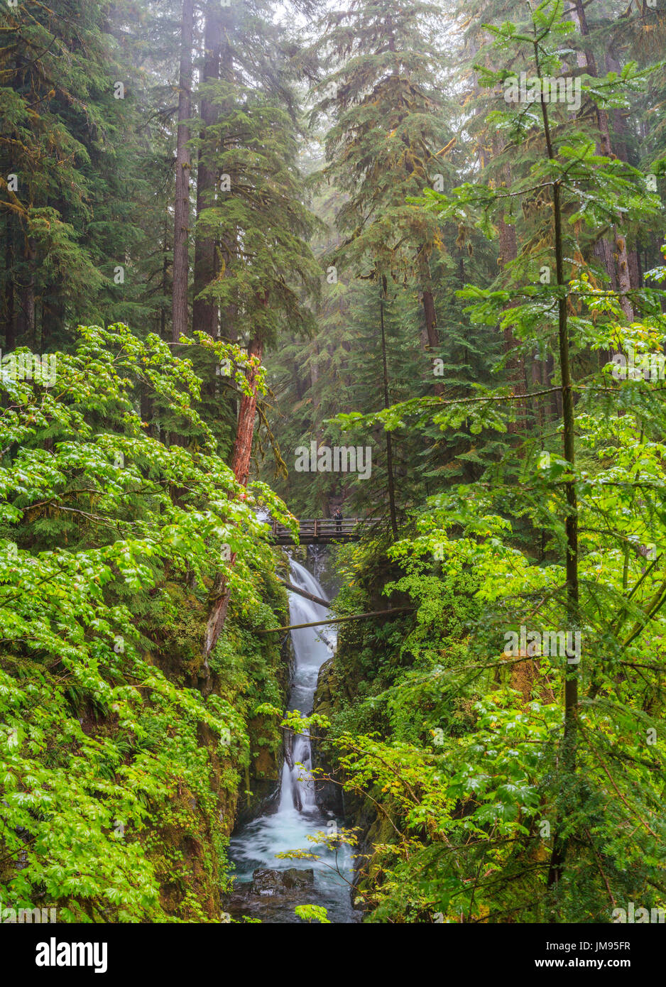 Soleduck river hi-res stock photography and images - Alamy