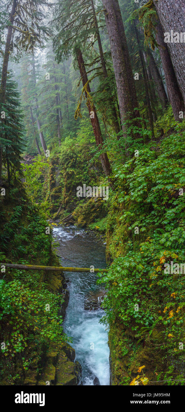 Sol duc falls hike hi-res stock photography and images - Alamy