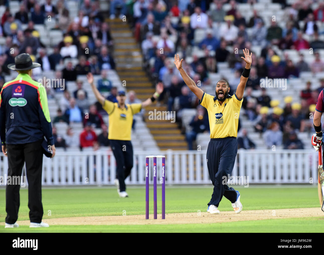 Cricket appeal hi-res stock photography and images - Alamy