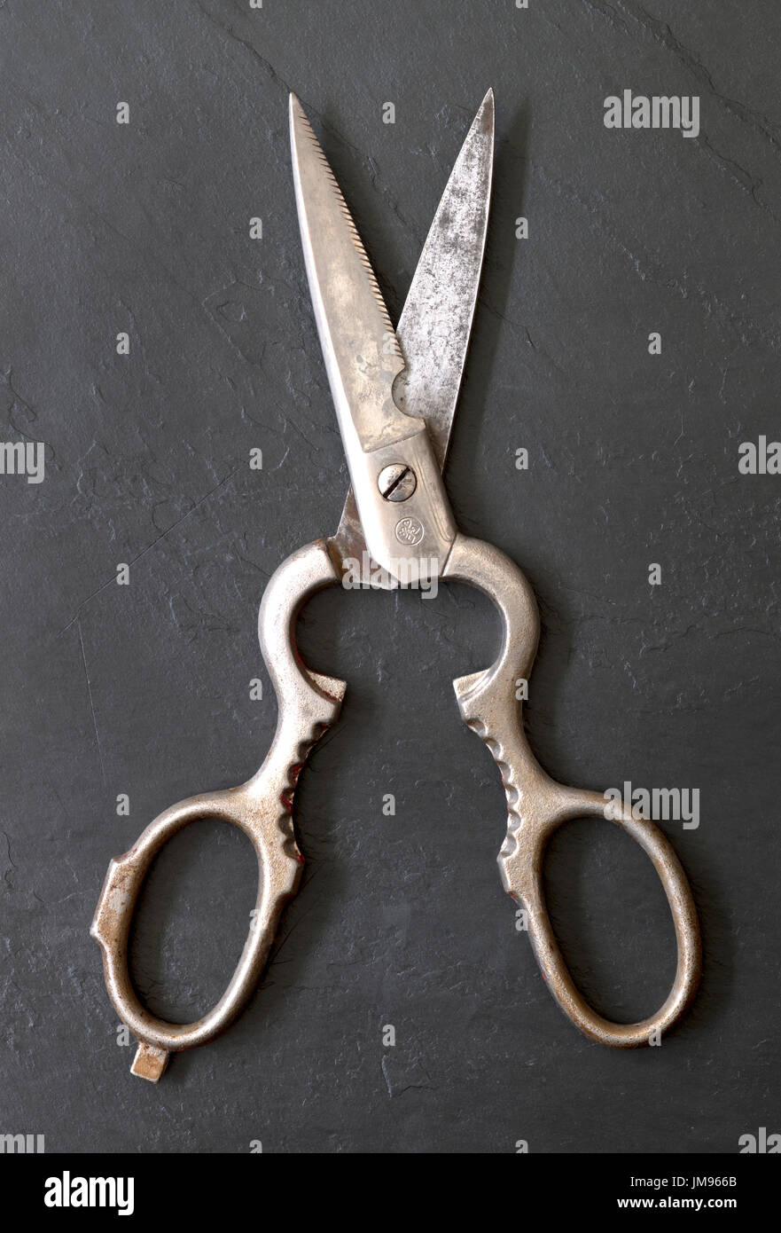 Kitchen Scissors High Resolution Stock Photography and Images - Alamy
