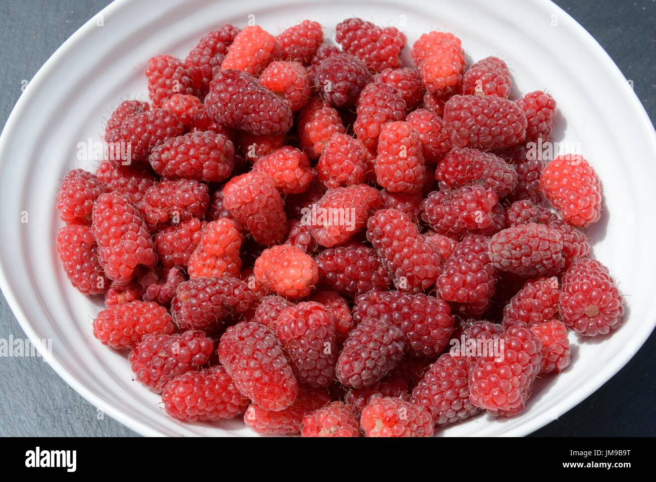 Loganberries hi-res stock photography and images - Alamy