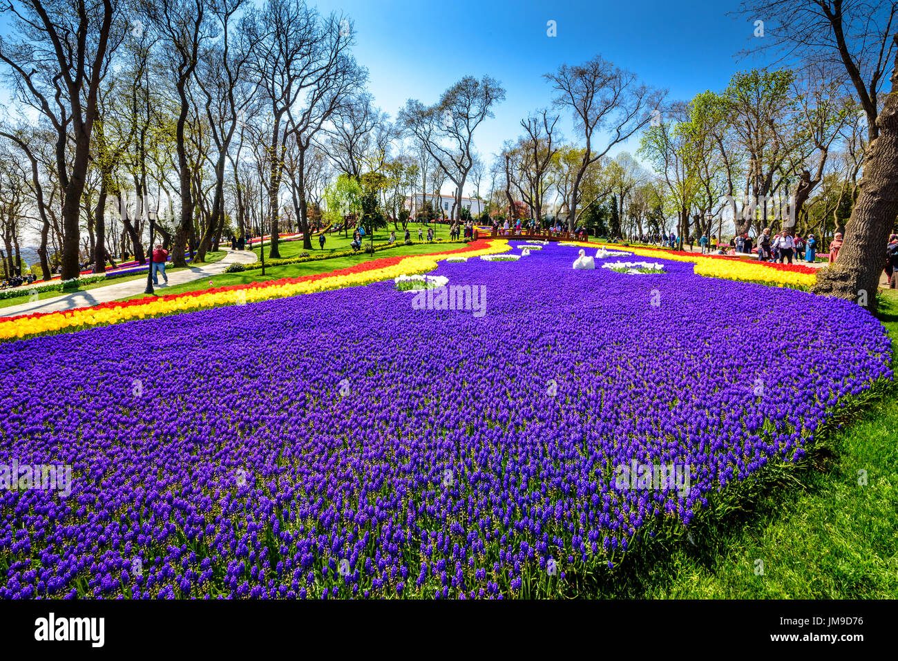 Traditional Tulip Festival in Emirgan Park, a historical urban park ...