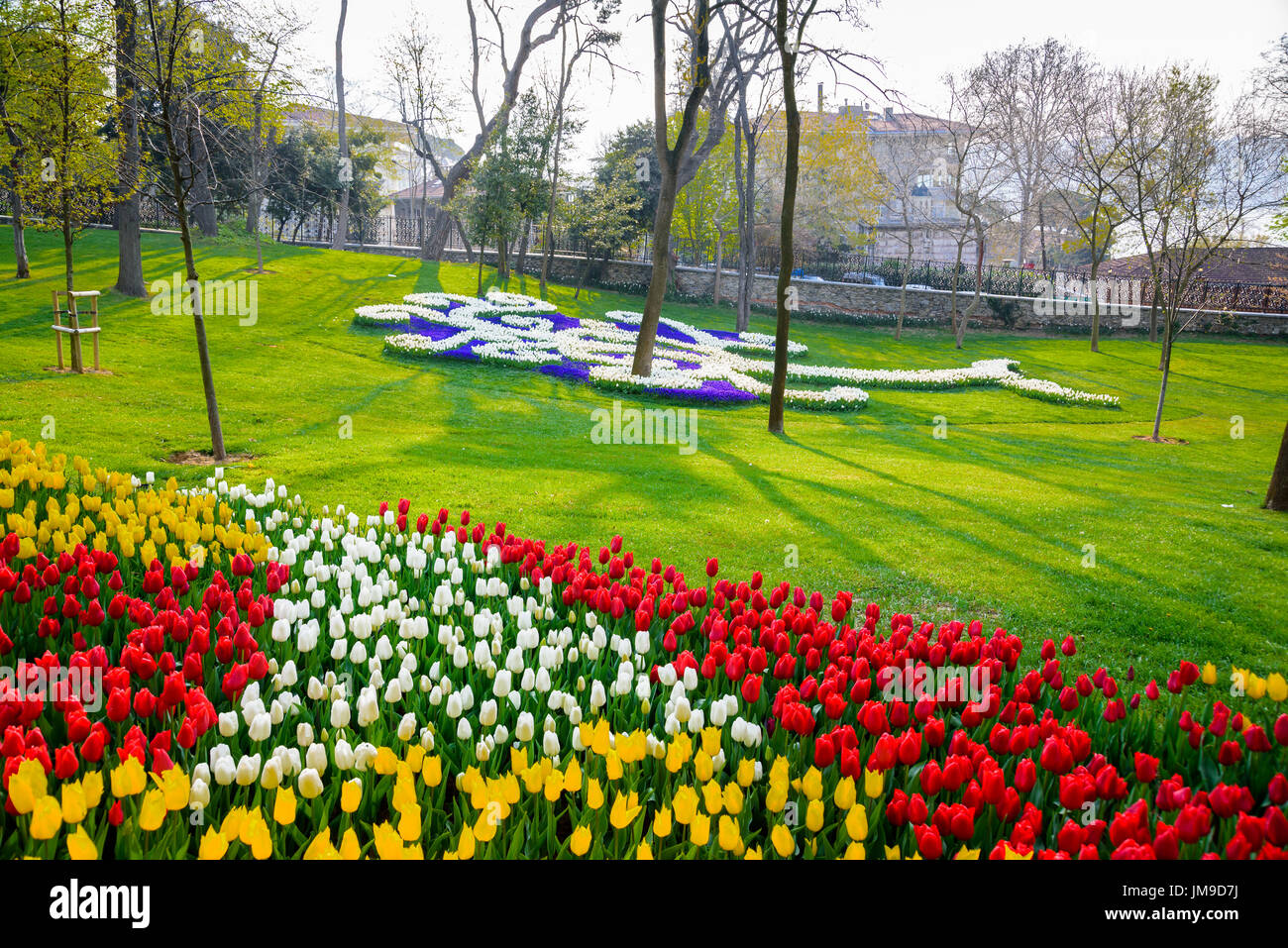 Traditional Tulip Festival in Emirgan Park, a historical urban park ...