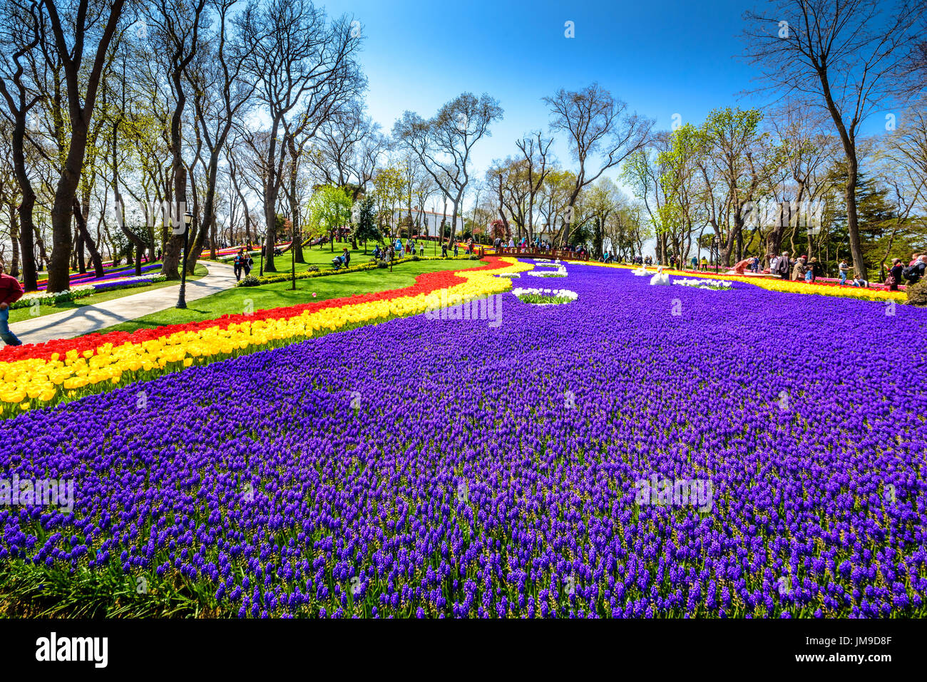 Traditional Tulip Festival in Emirgan Park, a historical urban park ...