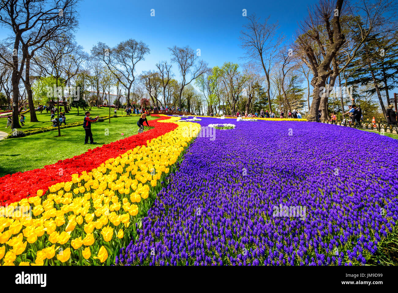 Traditional Tulip Festival in Emirgan Park, a historical urban park ...
