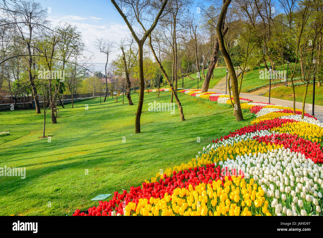 Traditional Tulip Festival in Emirgan Park, a historical urban park ...