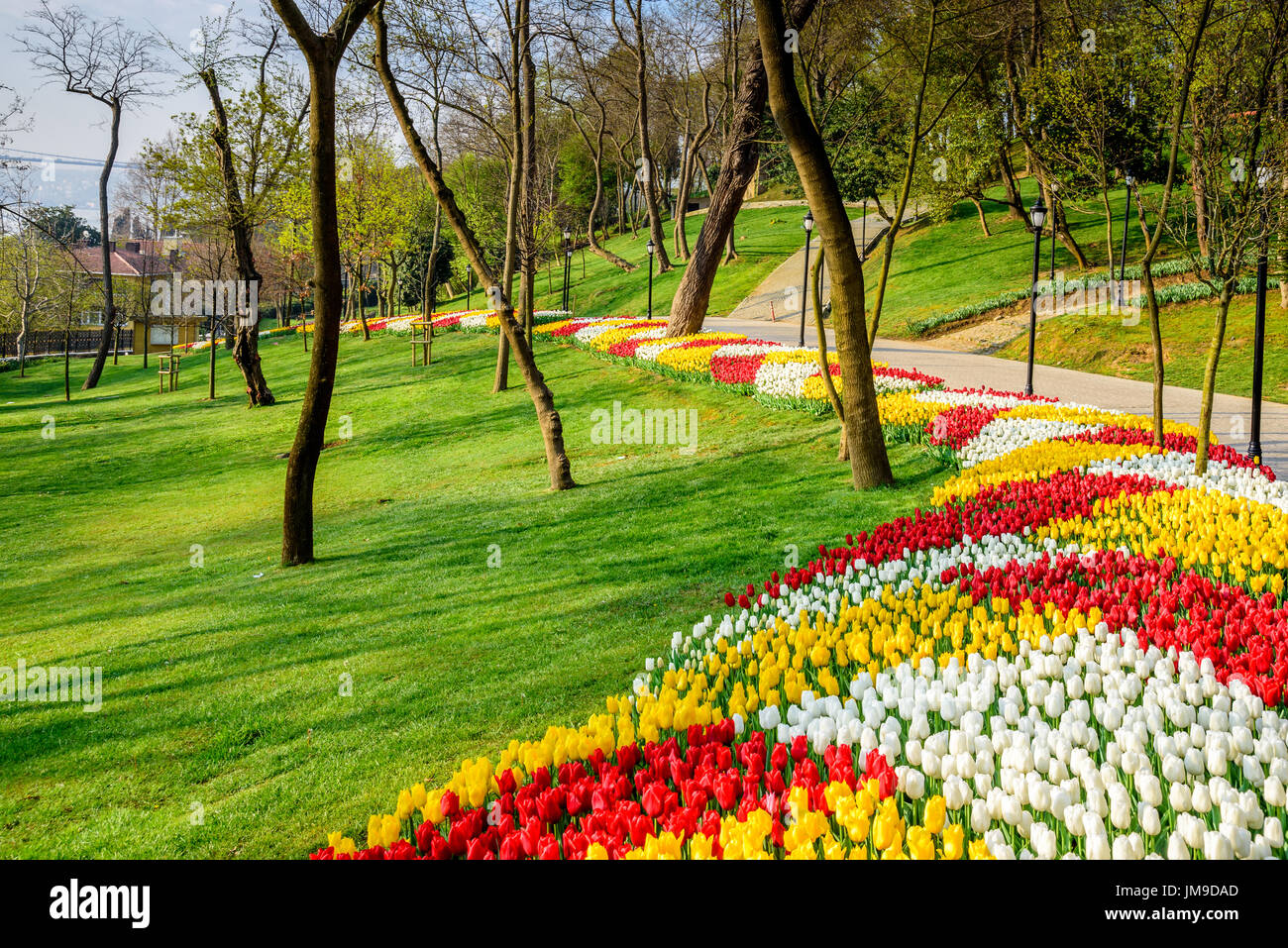 Traditional Tulip Festival in Emirgan Park, a historical urban park ...