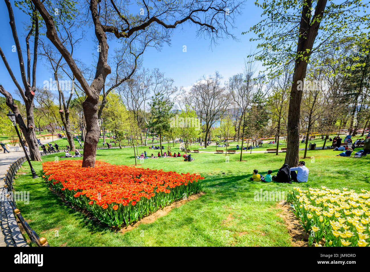Traditional Tulip Festival in Emirgan Park, a historical urban park ...