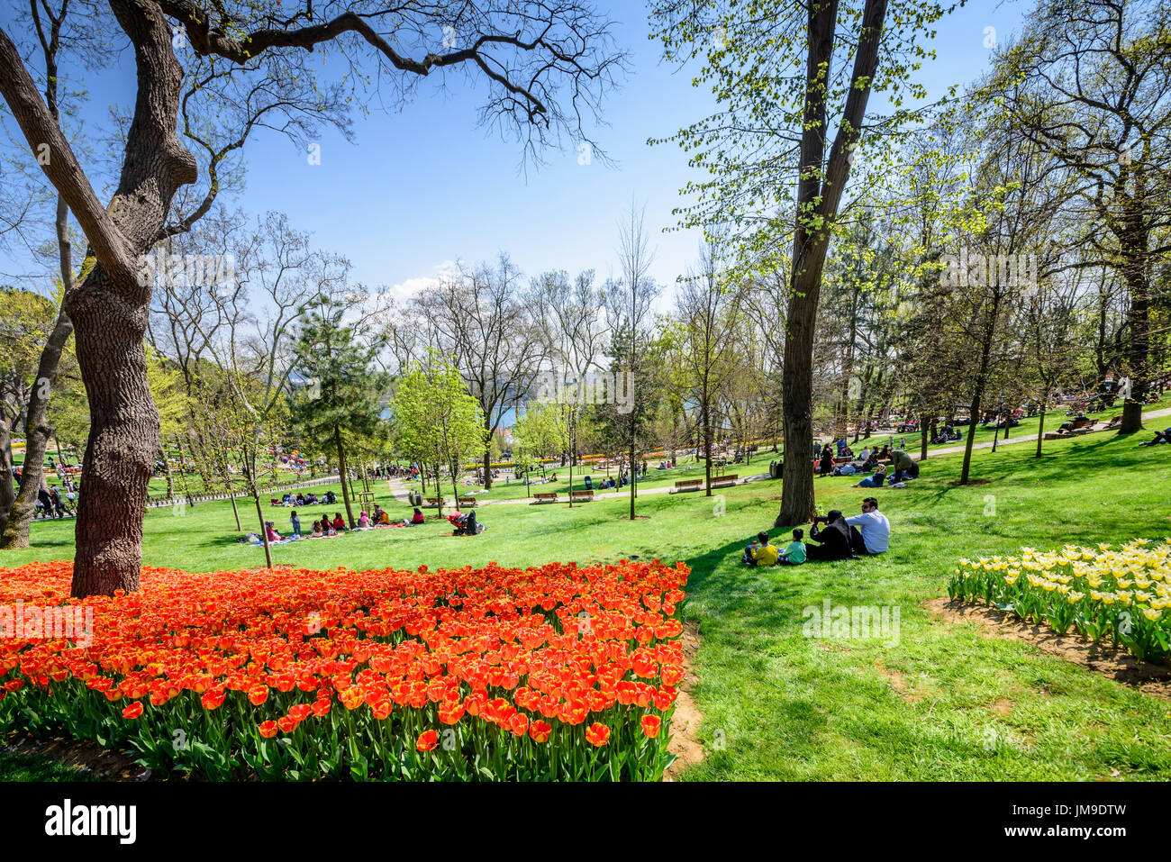 Traditional Tulip Festival in Emirgan Park, a historical urban park ...