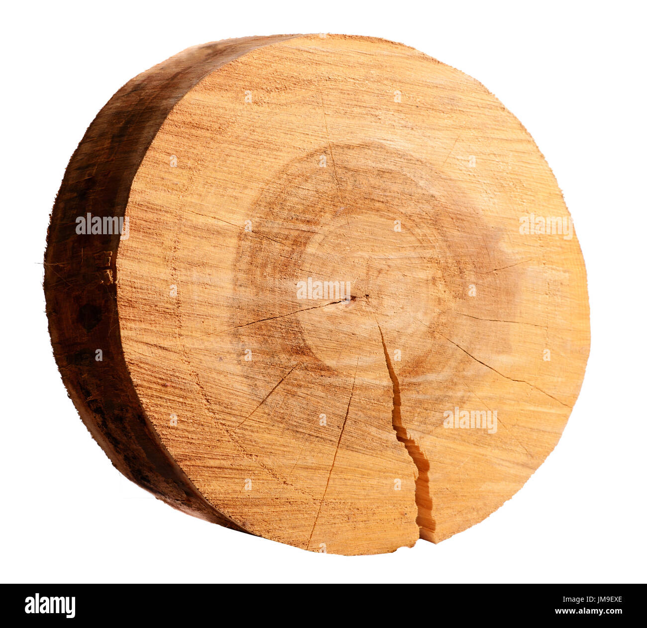 Cutted circular slice of the brown wooden log on a white isolated ...