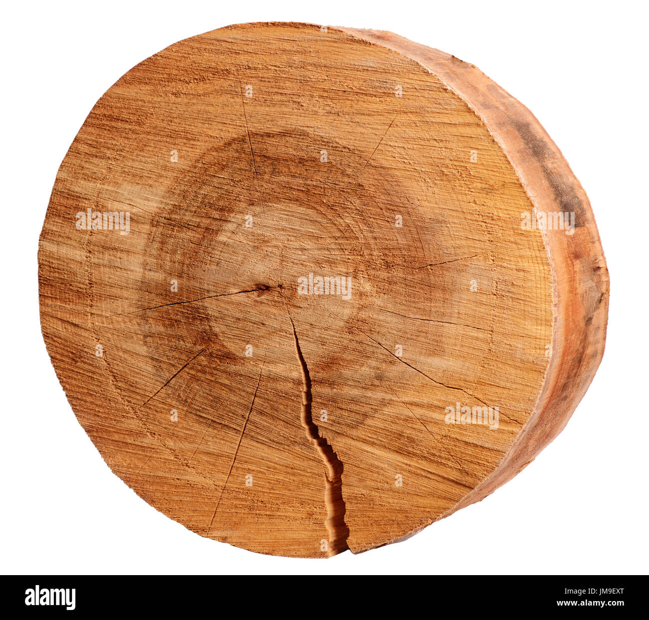 Cutted circular slice of the brown wooden log on a white isolated ...